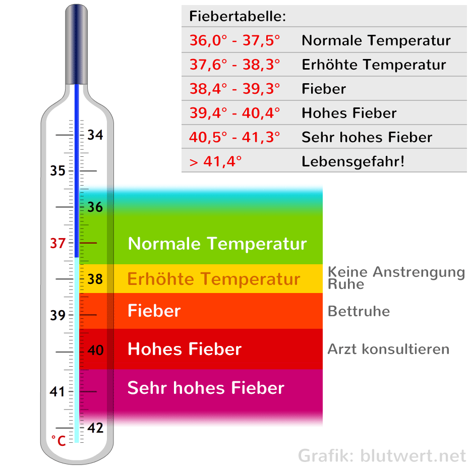 Fieber Ab Wann Und Wie Senken Fieber Ab Wann Und Wie Senken